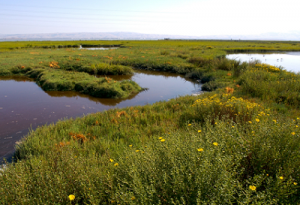 California State Coastal Conservancy – The Coastal Conservancy acts ...