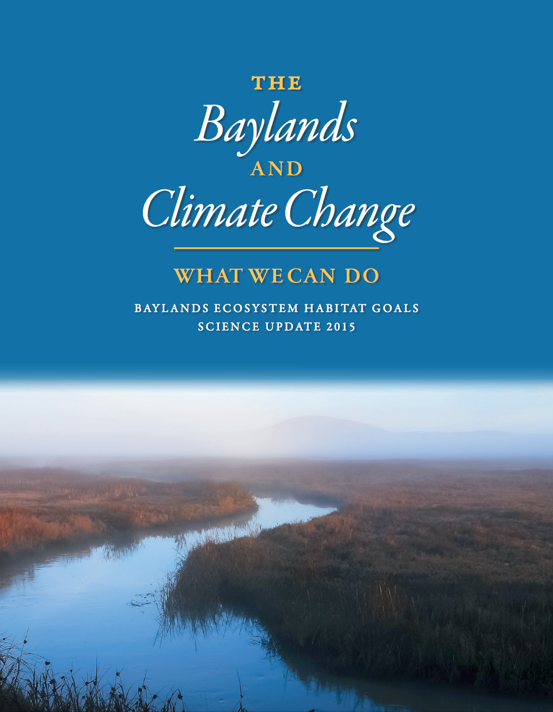 Natural Infrastructure for Coastal Adaptation to Sea Level Rise ...