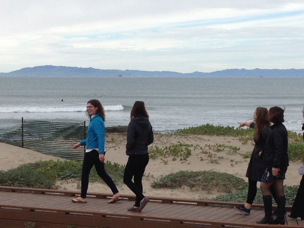 Case Studies of Natural Shoreline Infrastructure in Coastal California ...