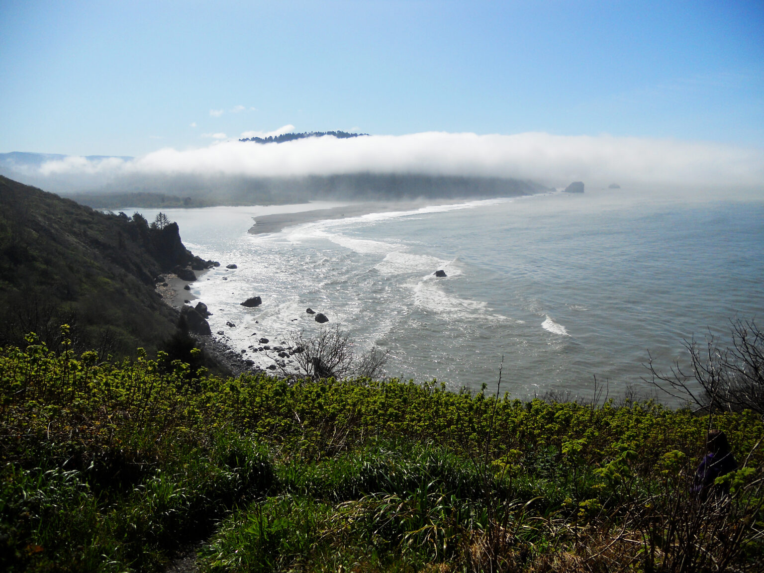 Coastal Conservancy awards $2.4 million for Coastal Access, Restoration ...