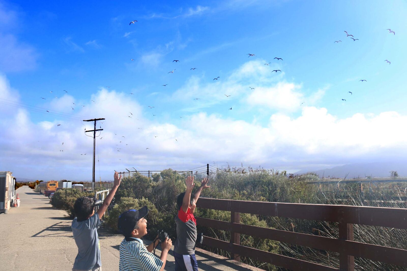 Coastal Stories Grant Program – California State Coastal Conservancy