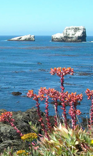 All Posts – California State Coastal Conservancy